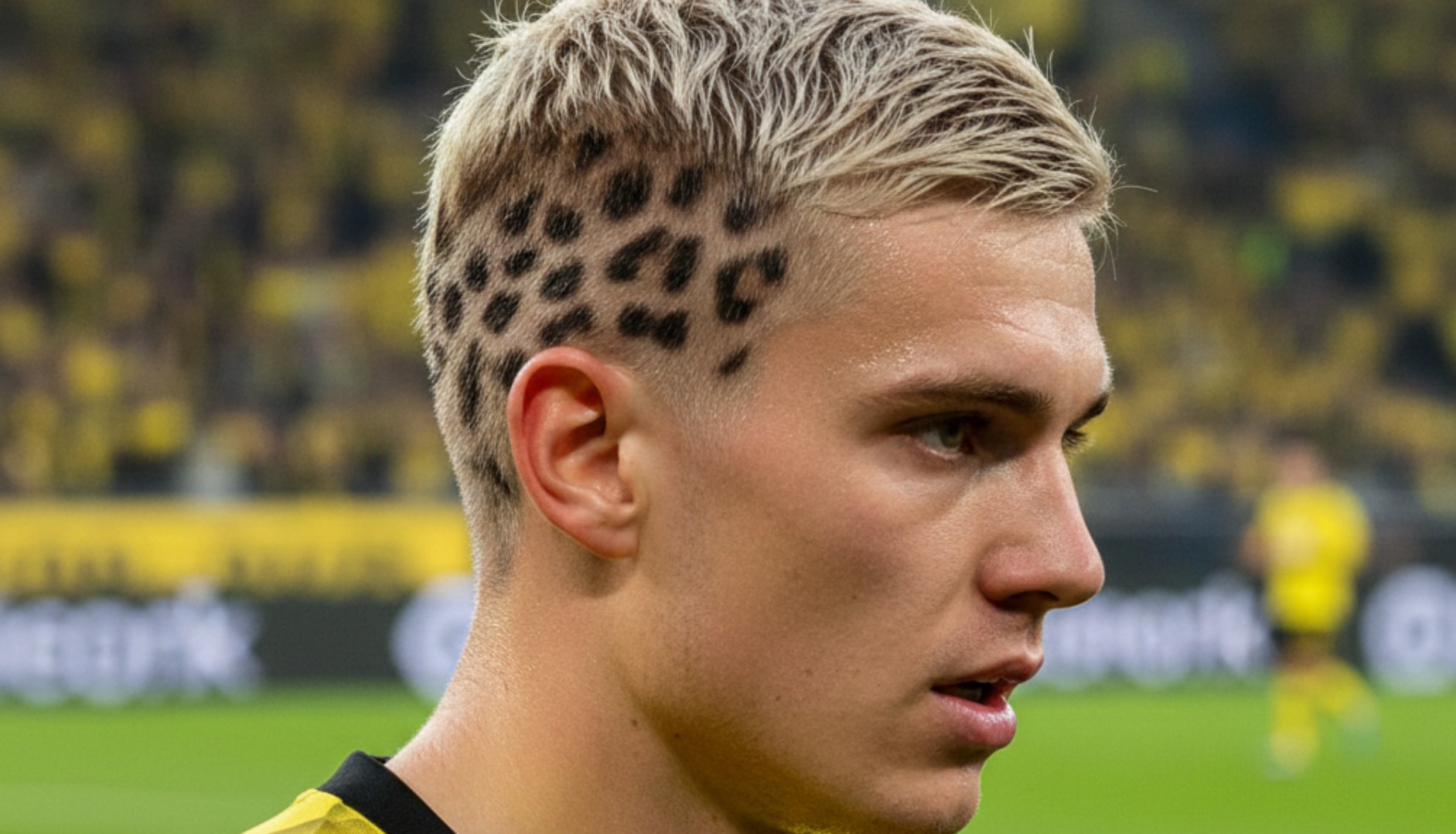Julian Ryerson Frisur: BVB-Star im wilden Leoparden-Look